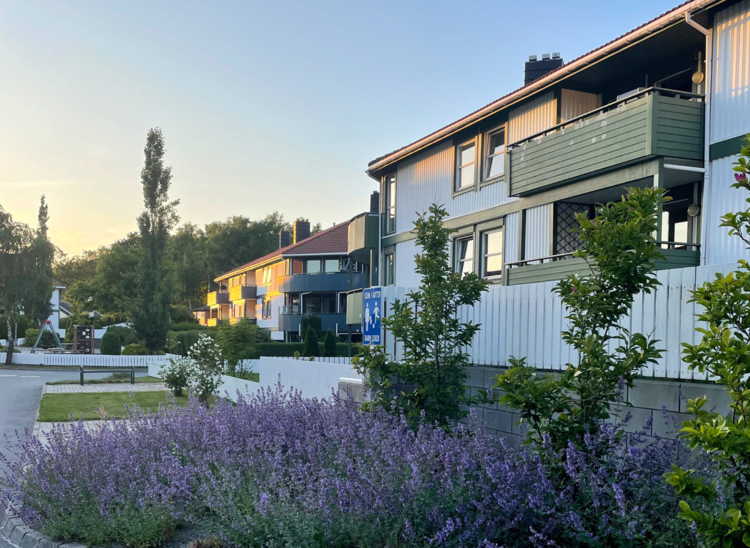 Borettslaget Solåsen - En møteplass for Solåsens beboere